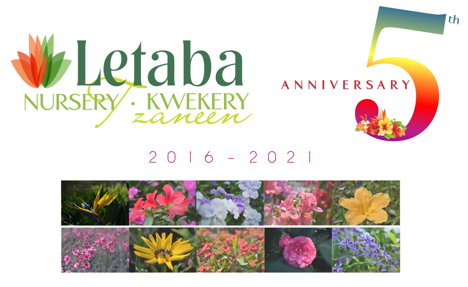 Letaba Kwekery (Pty) Ltd – growing quality plants in the heart of the ...